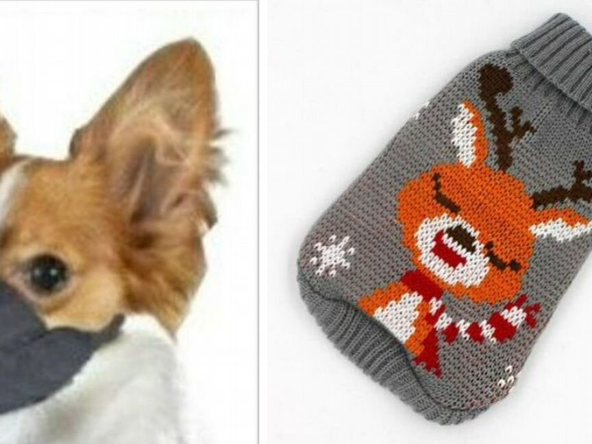 Новое. Свитерок, намордник для мелких собак