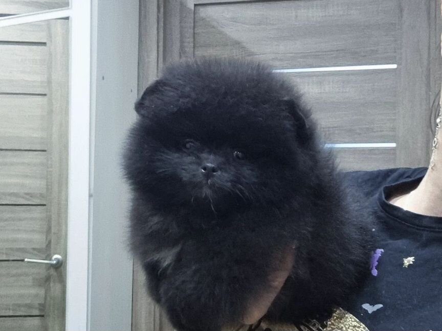 Красивая чёрная девочка. Видео