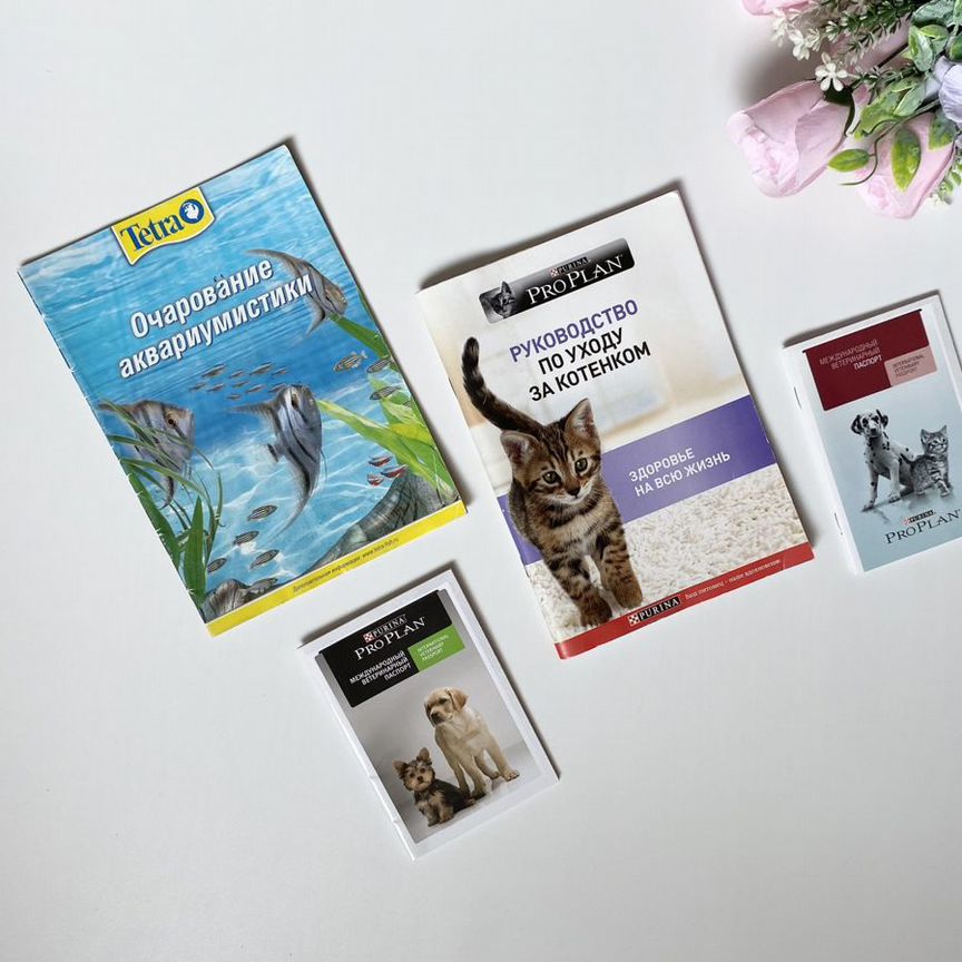 Книга животные