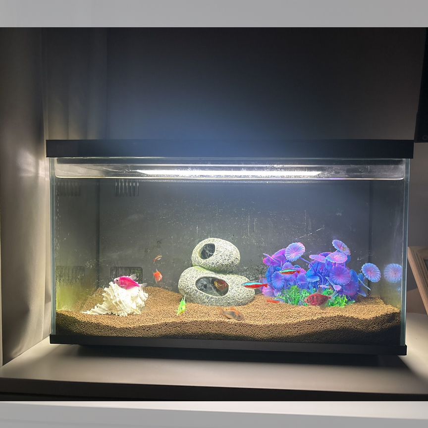 Умный аквариум xiaomi 20 литров