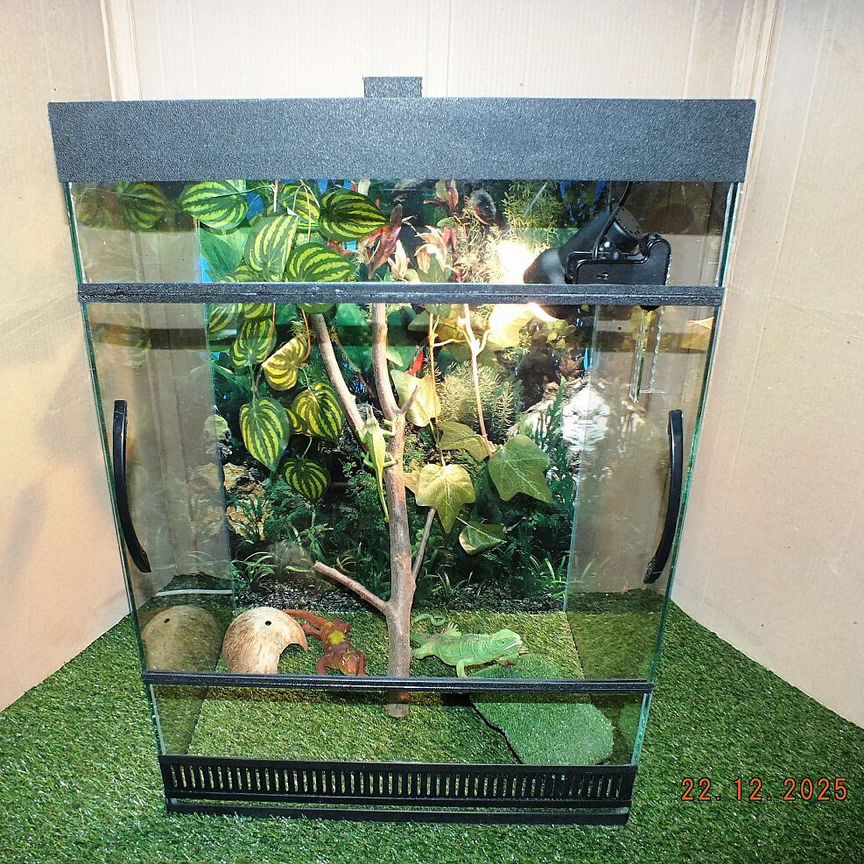 Новый вертикальный террариум для экзотики