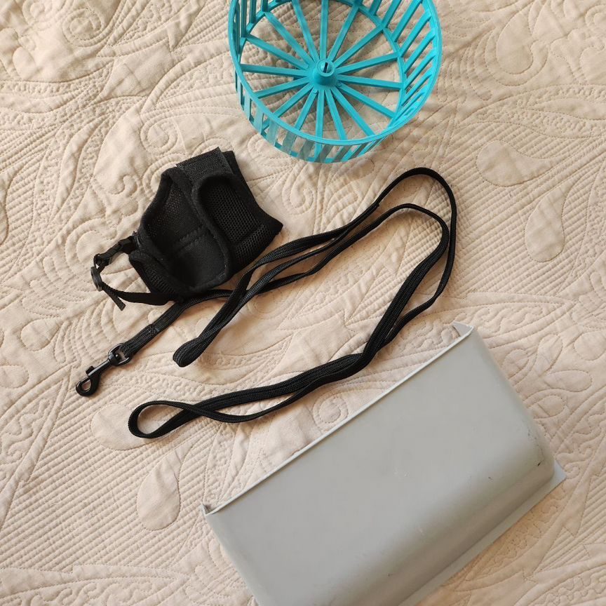 Аксесуарв для грызунов поводок для крыс колесо