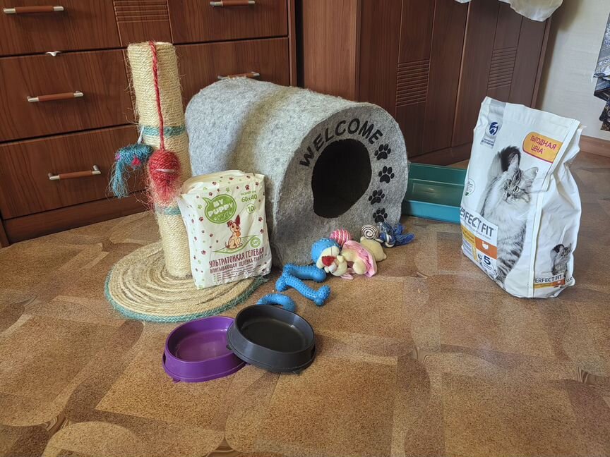 Товары для кошек