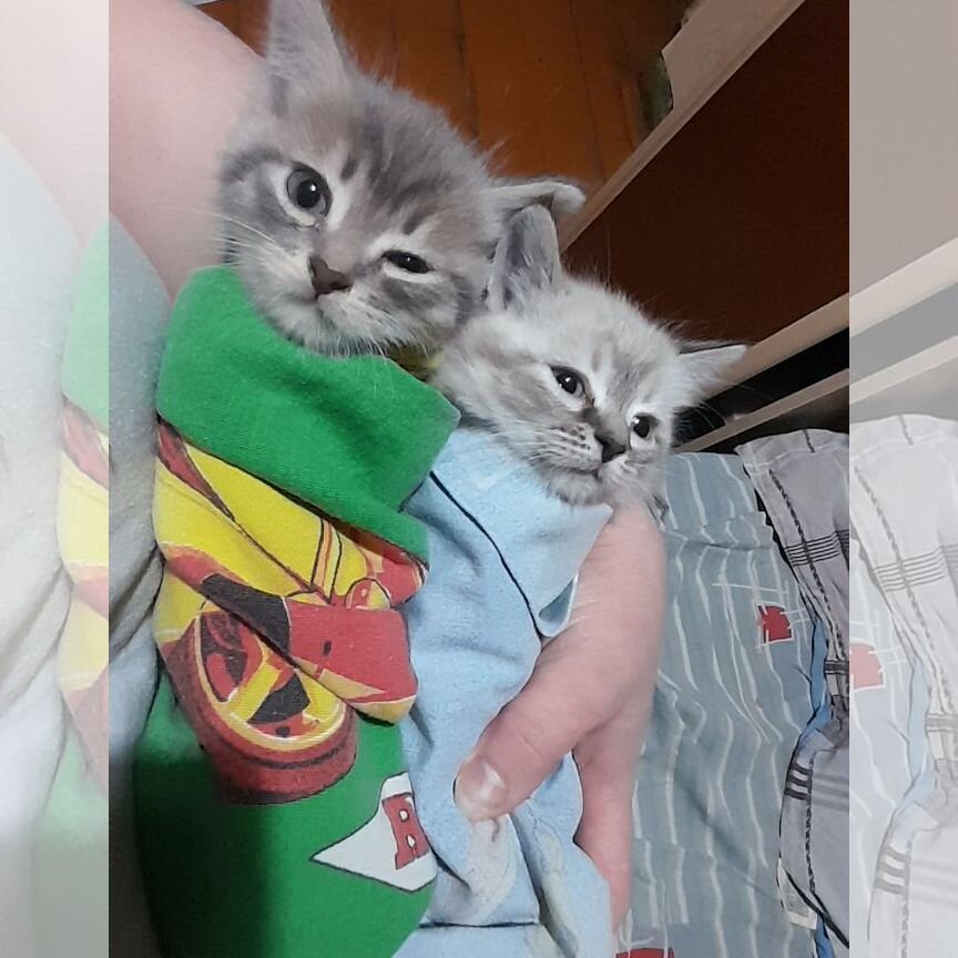 Невская маскарадная