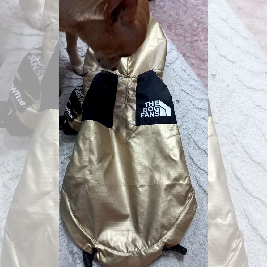 Курточка для собачки