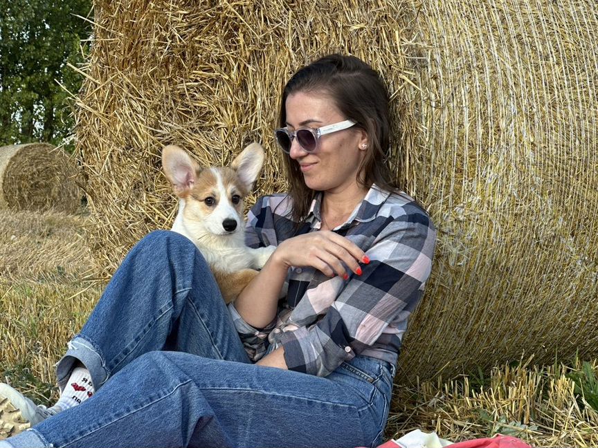 Деффочка щенок вельш корги пемброк