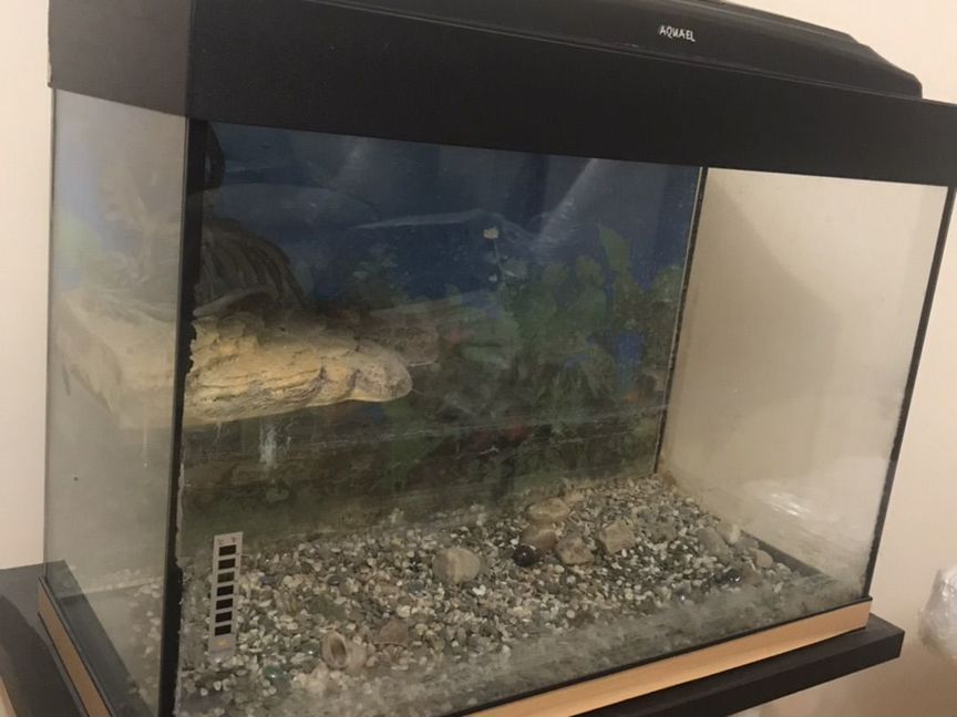Аквариум/террариум
