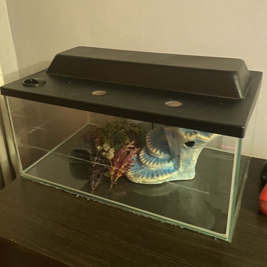 Террариум 30 литров