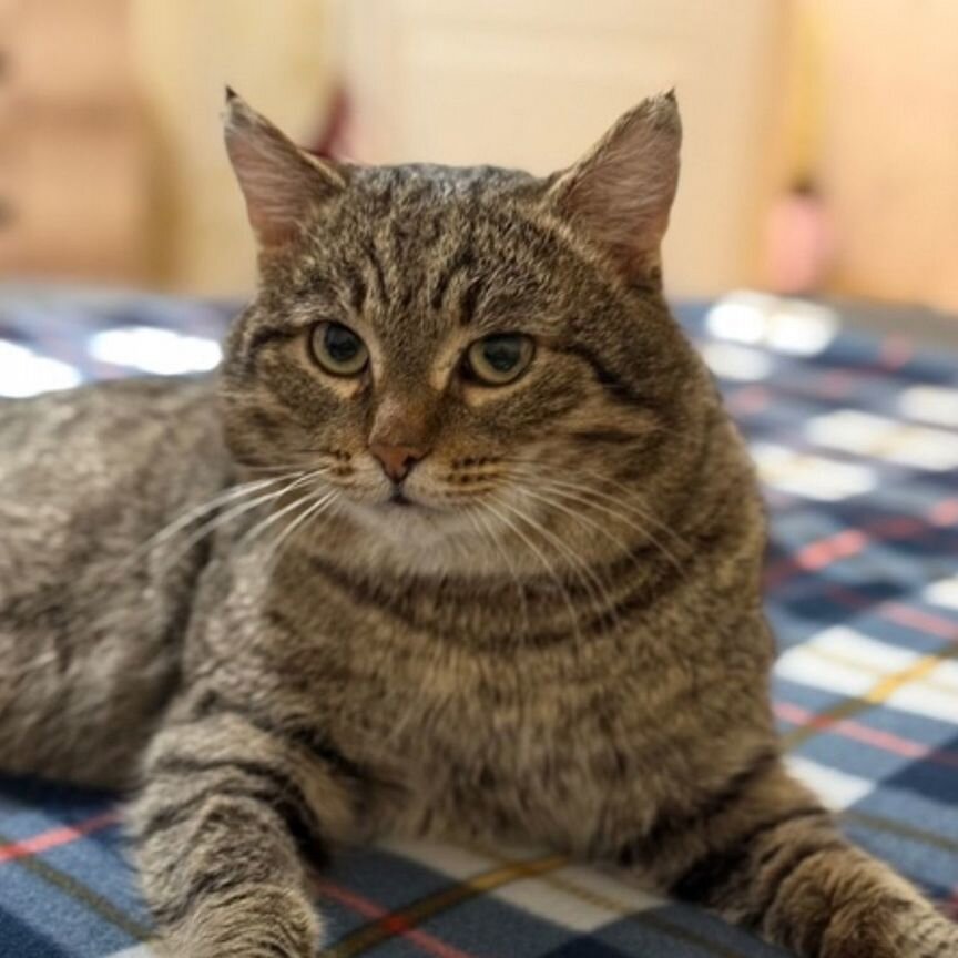 Мужичок с большим сердцем