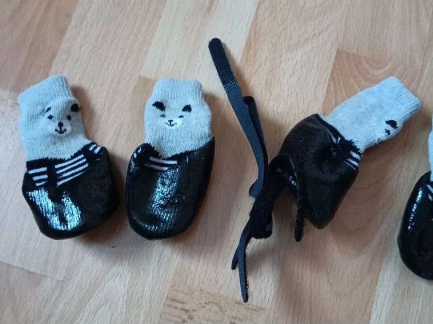 Ботинки для собак. Бронь