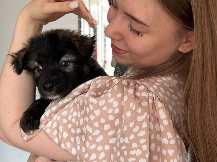 Маленький плюшевый медвежонок ищет дом