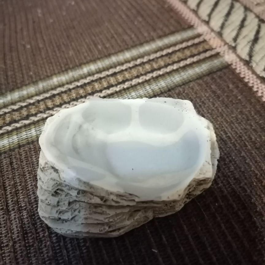 Поилка для улиток