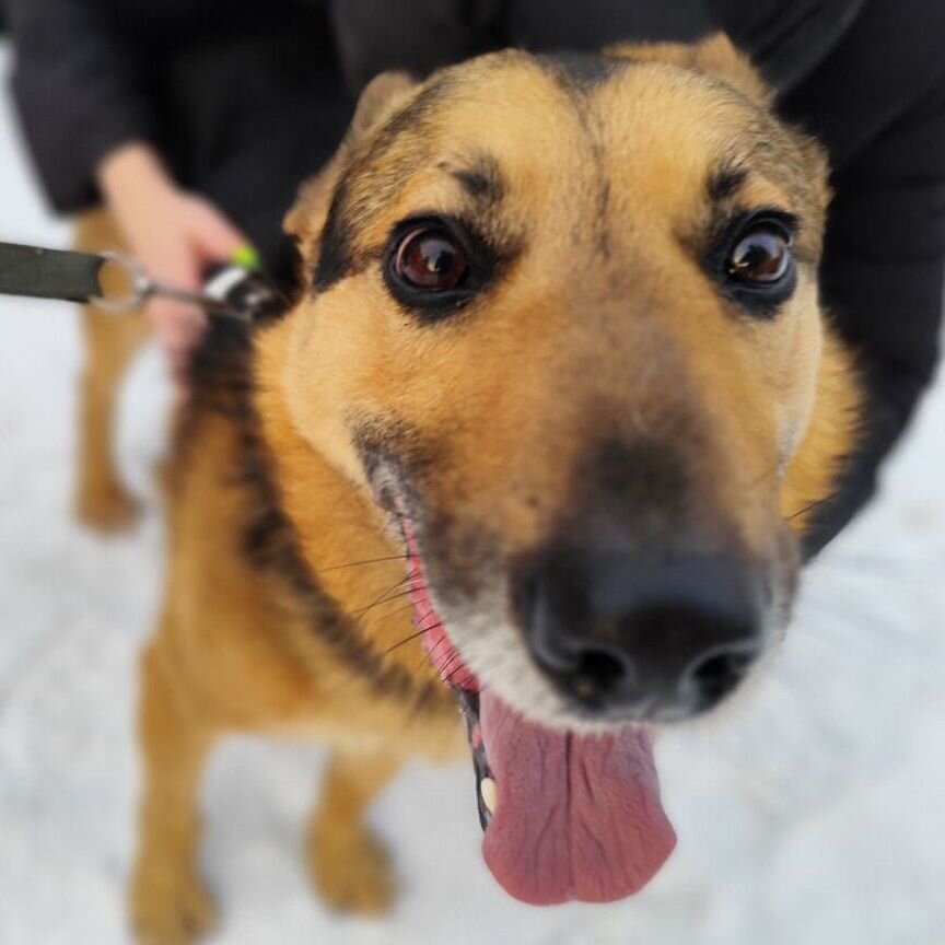 Добрый,молоденький мальчик