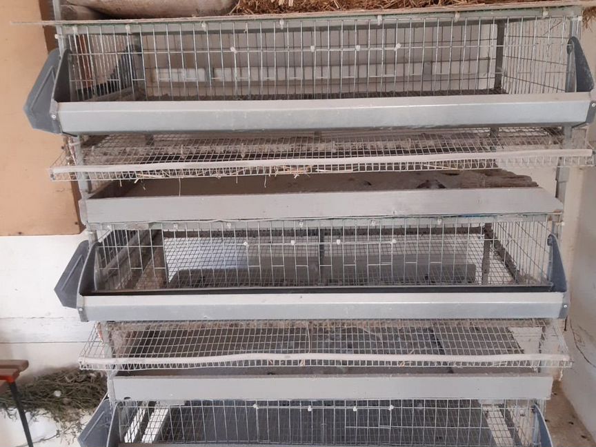 Клетка для перепелок