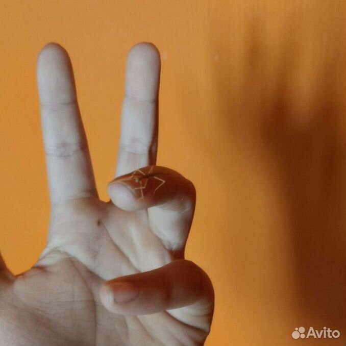 Маленькие палочники