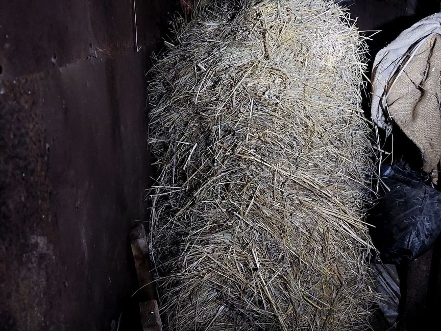 Сено в брикетах