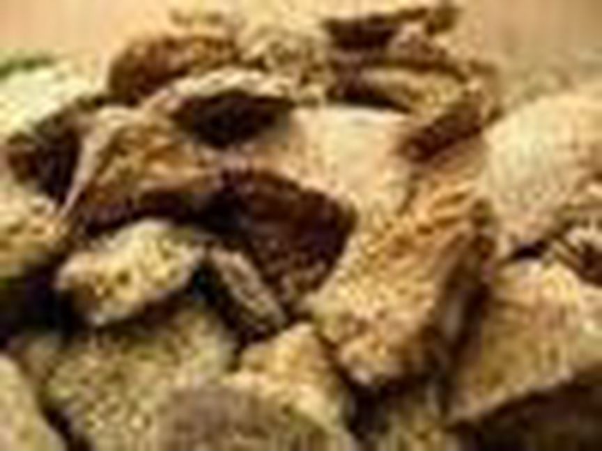 Жмых соевый протеин 43