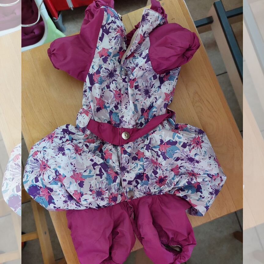 Плащ для маленькой собачки