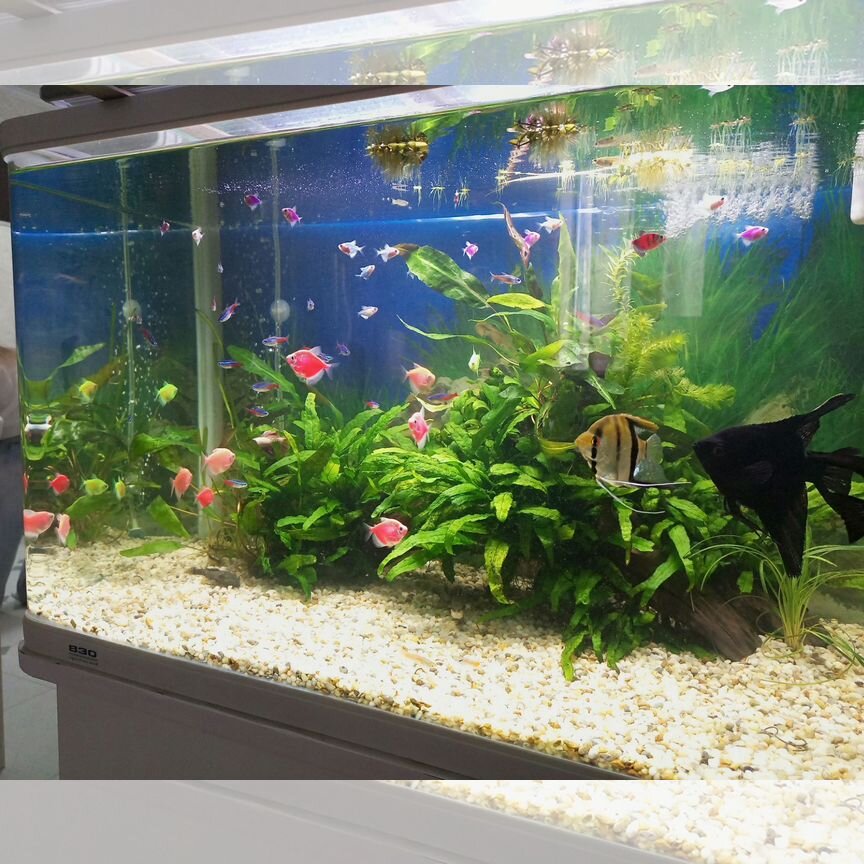 Аквариум 120 литров с тумбой