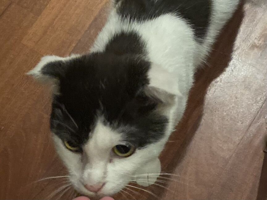 Малышка ждет помощи