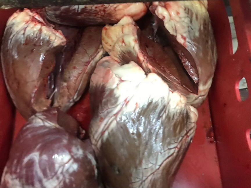 Мясо, субпродукты для собак и кошек