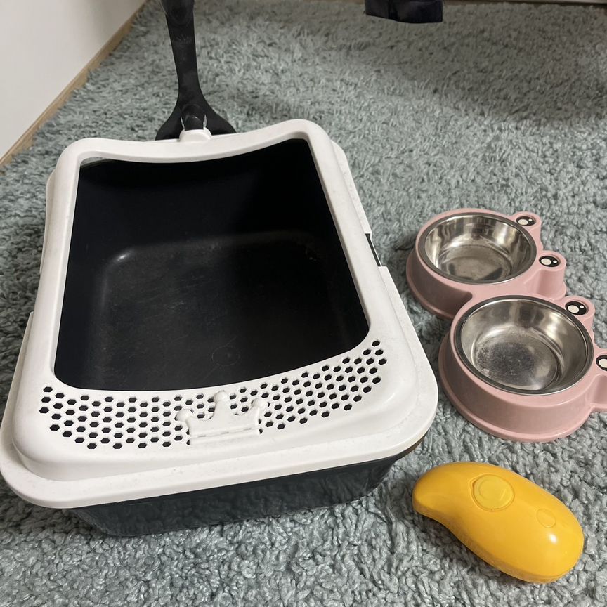 Кошачий лоток, миска, электрическая паровая щетка