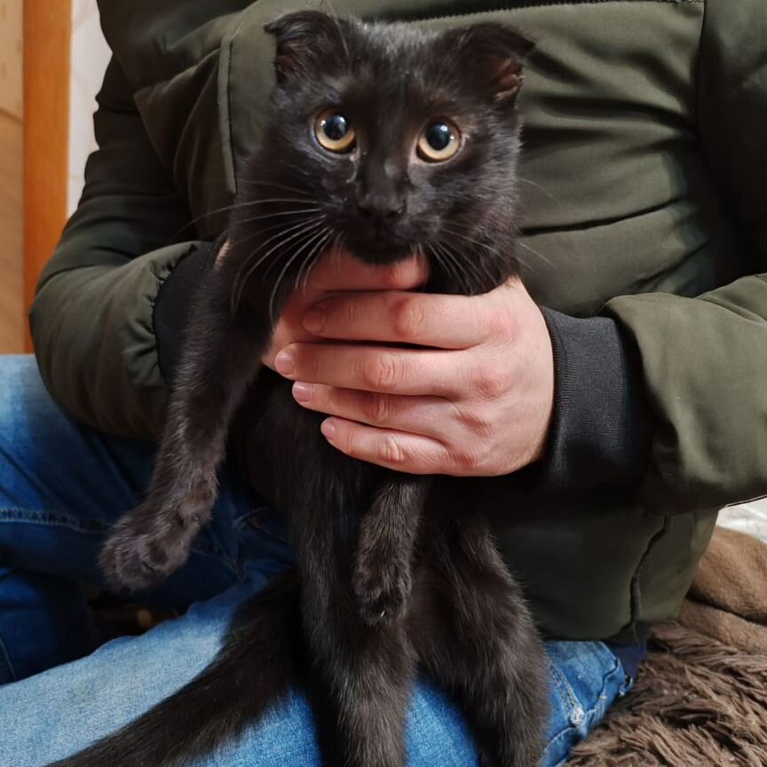 Очень нужен дом