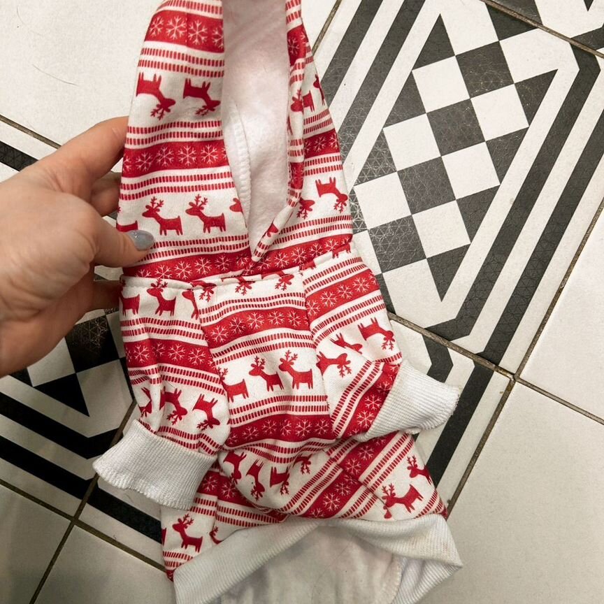 Одежда для собак