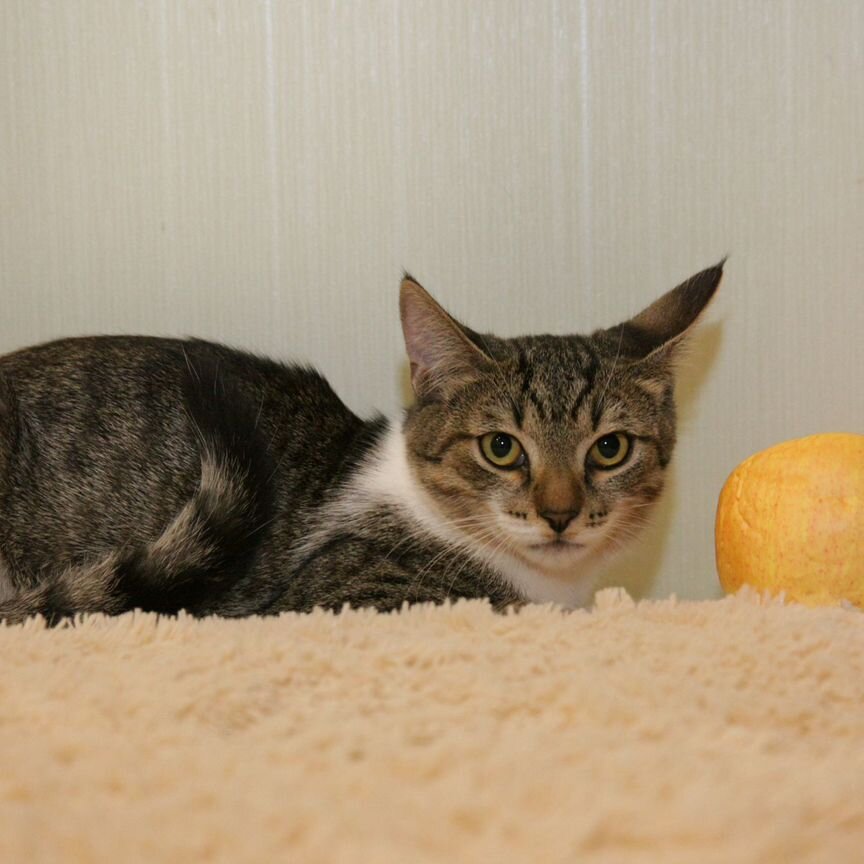 Добрая и ласковая девочка подросток. Ей 7 месяцев