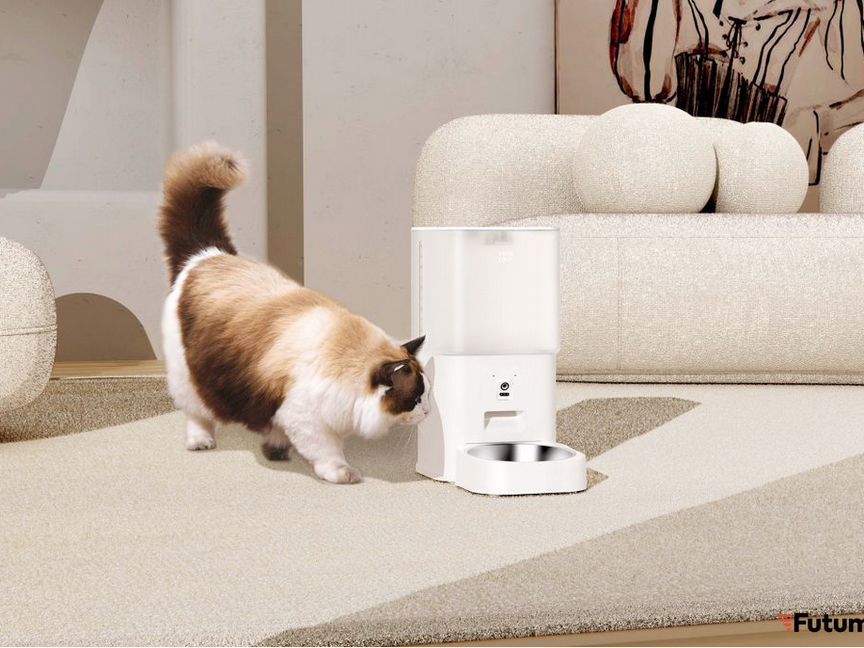 Кормушка для кошек с камерой Hholove Automatic Cat