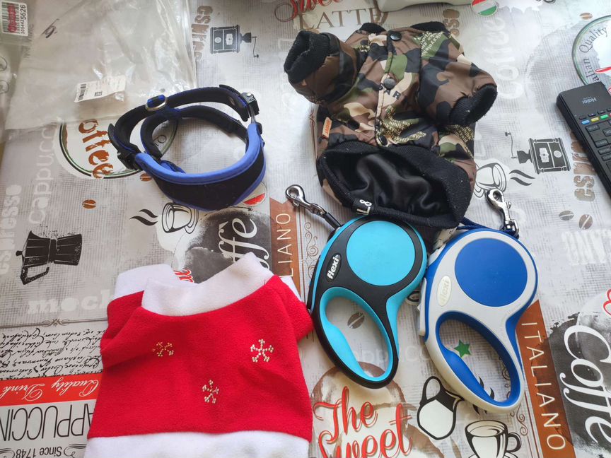 Вещи для собак