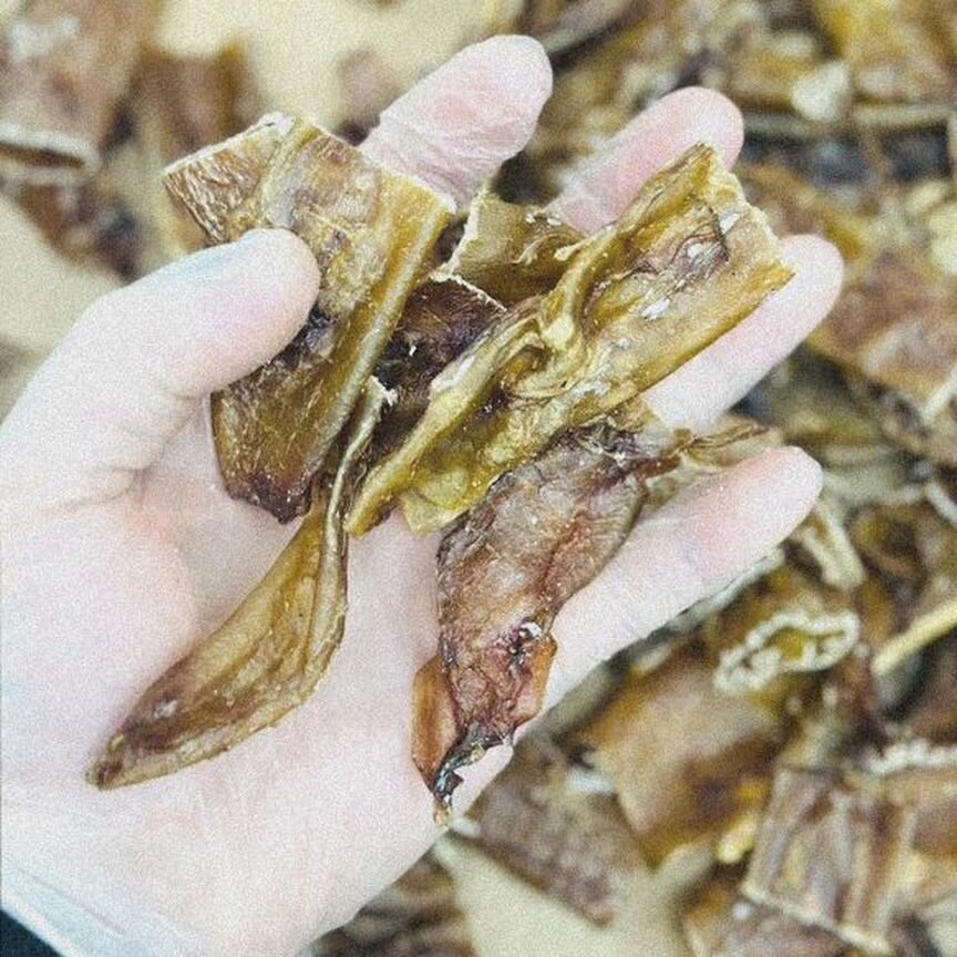 Аорта говяжья сушенная 1000 гр. (5-10 см.)