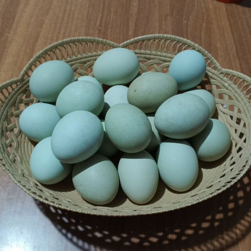 Яйцо куриное
