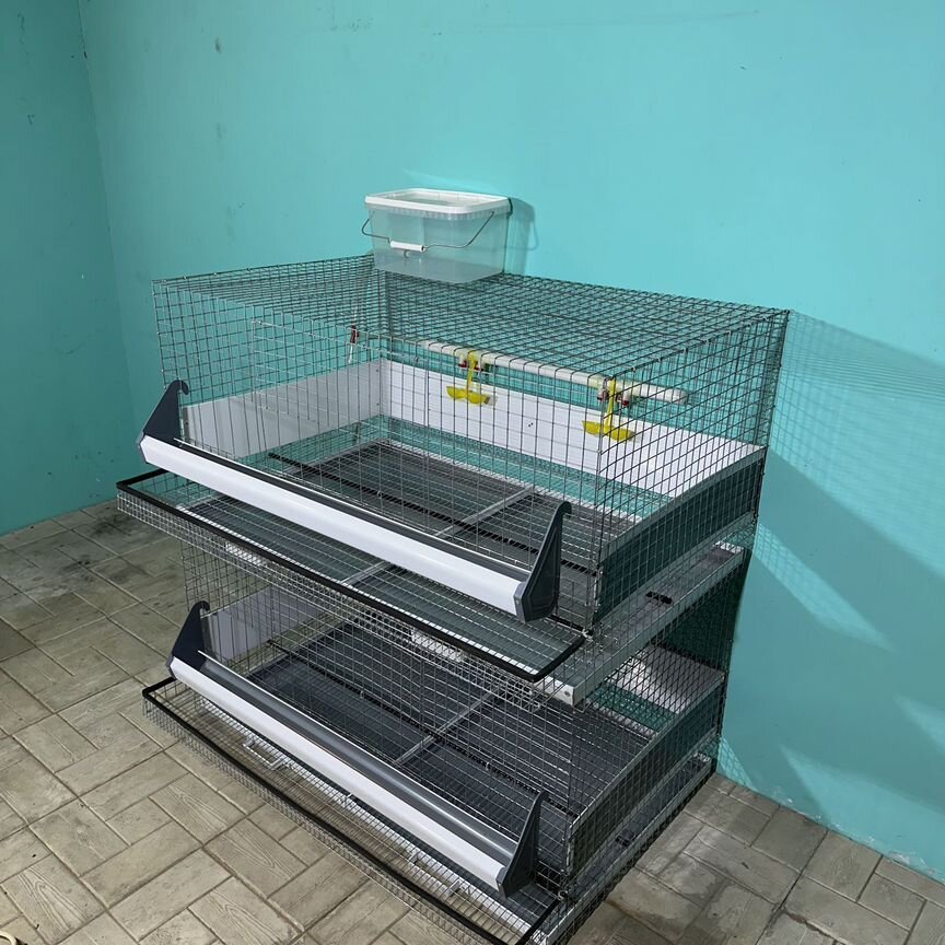 Клетки для кур несушек с яйцесборником