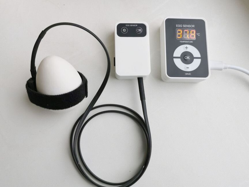 Датчик температуры на яйцо EGG sensor