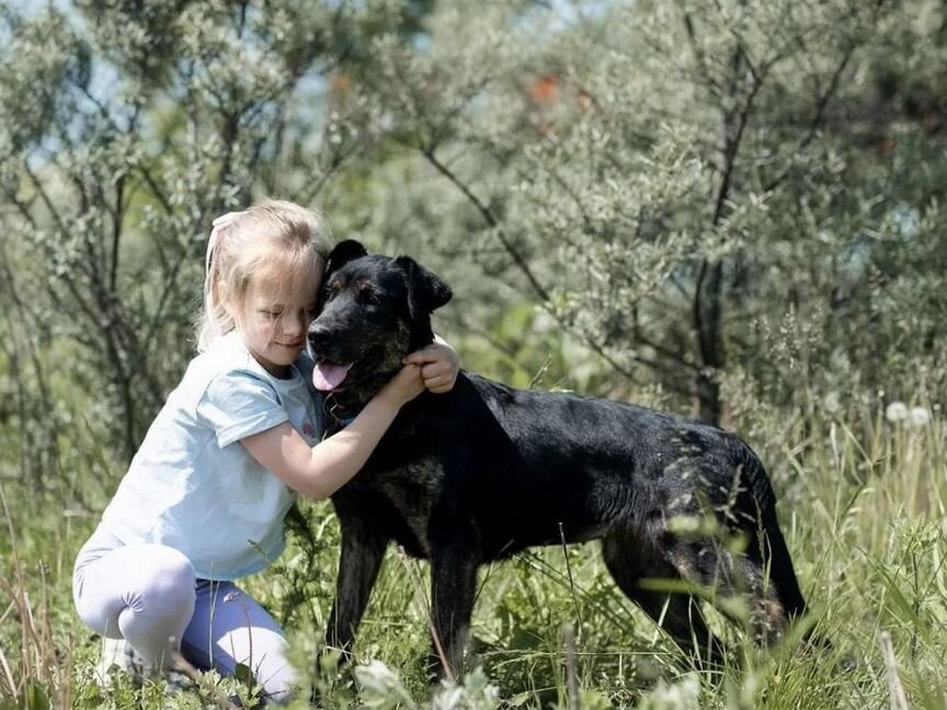 Собака Люся в добрые руки отдам бесплатно