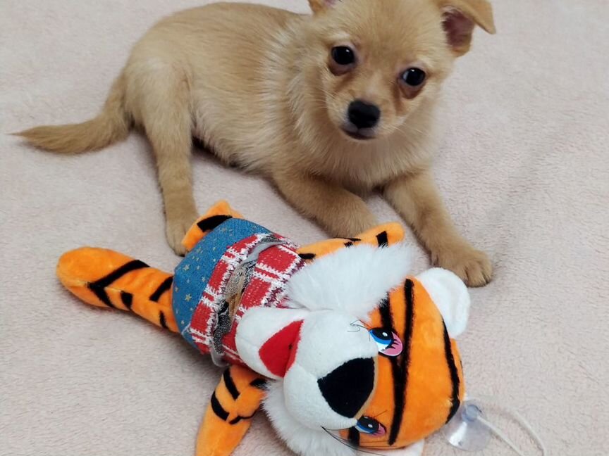 Мальчик и девочка