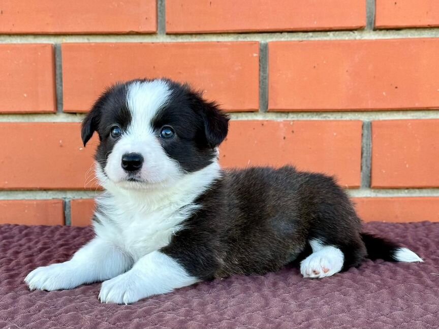 Ждём самых лучших родителей