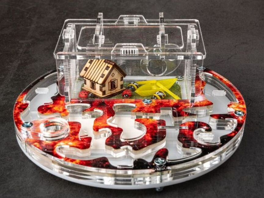 Муравьиная ферма Муравьи оптом и в розницу Корм