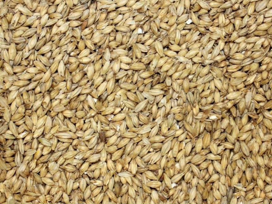 Ячмень кормовой уц-Я, 8 кг