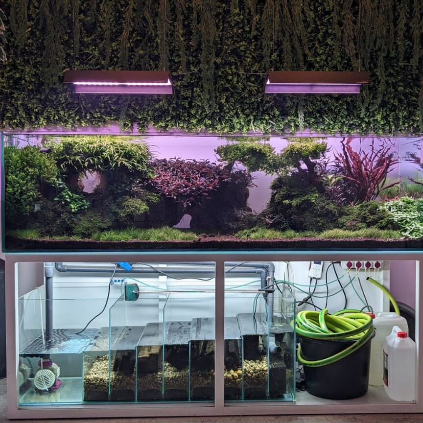 Аквариумы морские и пресноаодные