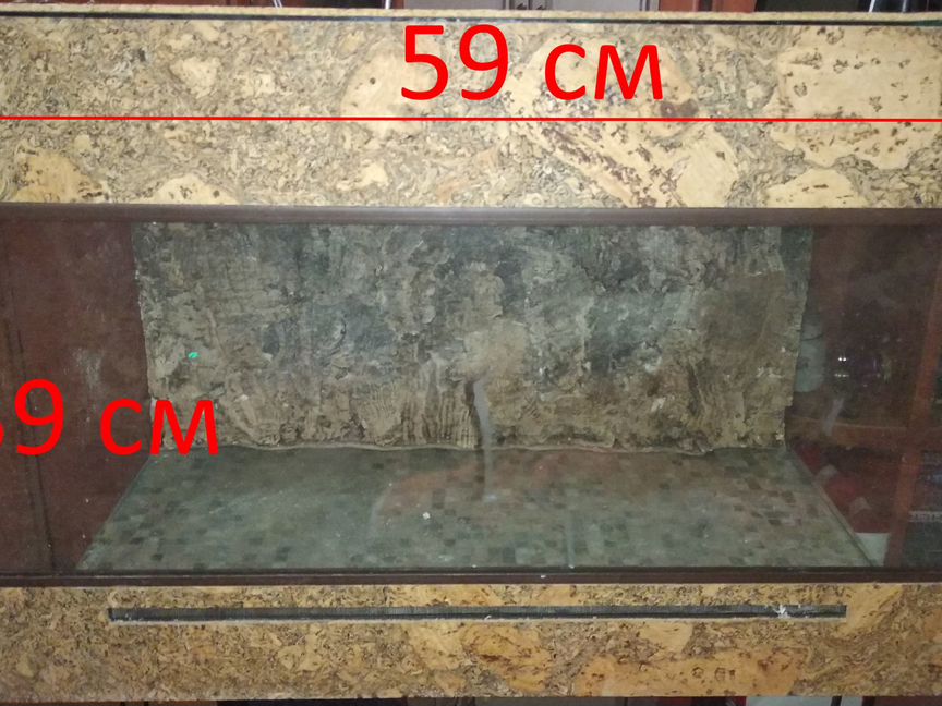 Террариум для рептилий