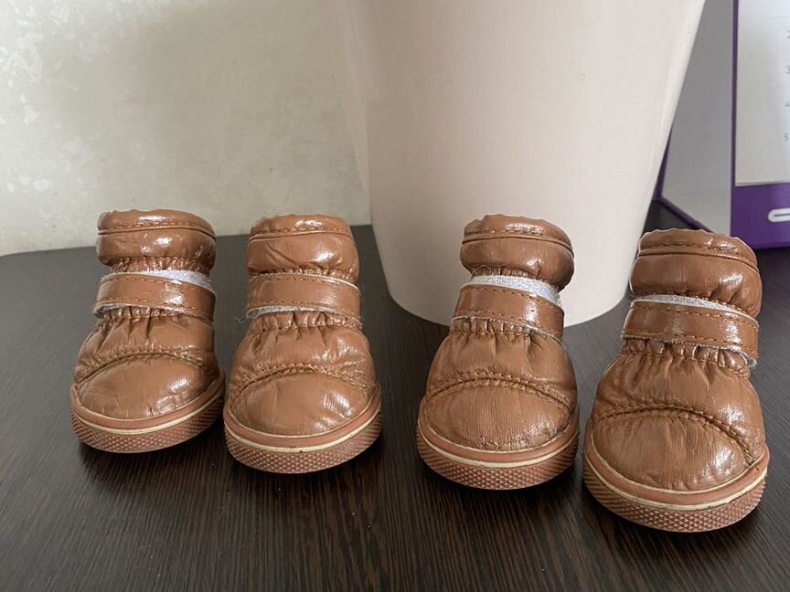 Ботинки для собак