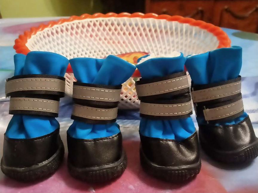Ботинки для собак