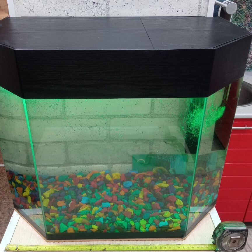 Аквариум с рыбками