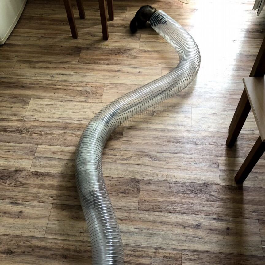 Хорелаз/туннель для хорьков, шиншилл, грызунов