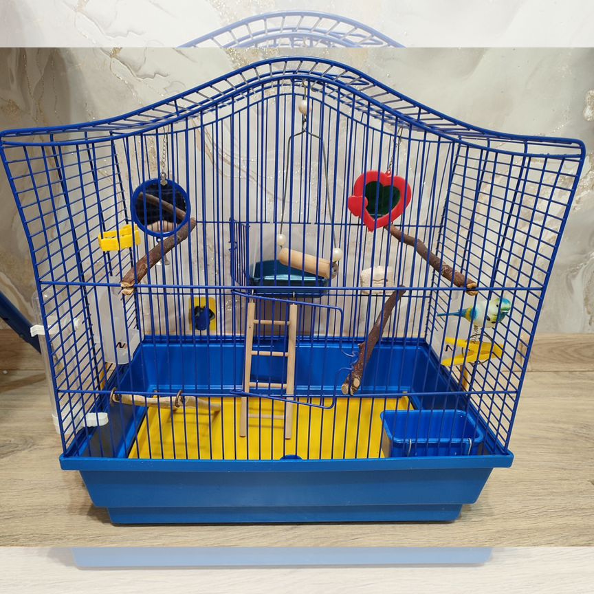 Клетка для попугая бу