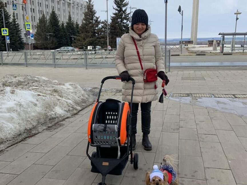 Коляска для собак и кошек