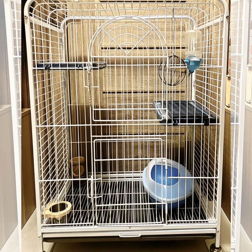 Клетка для шиншиллы большая бу