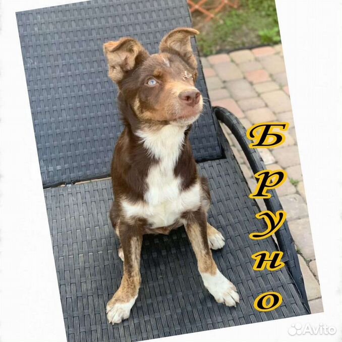 Ищем самую лучшую семью